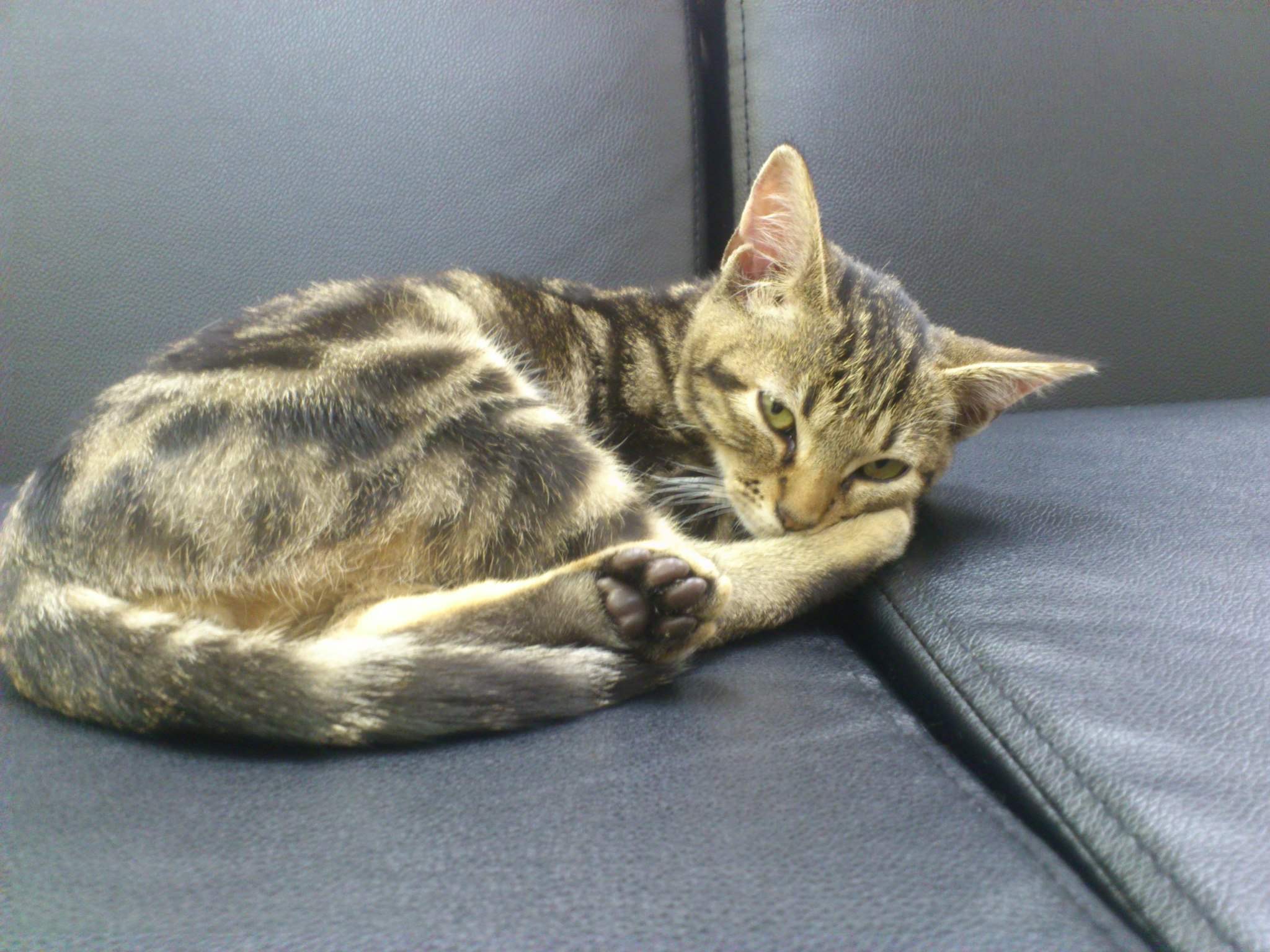 日曜日も笑顔に営業！CLUB FLARE! | CLUB FLARE(フレア) 上尾市谷津 キャバクラ